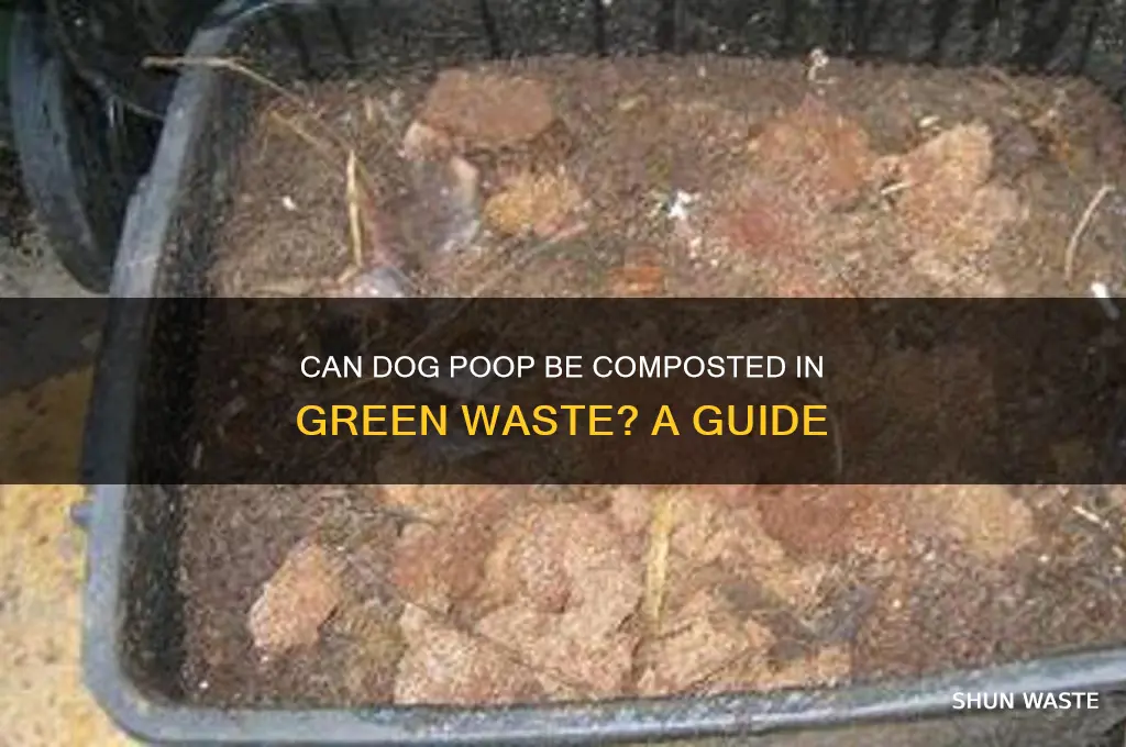 Can Dog Poop Be Composted In Green Waste? A Guide | ShunWaste