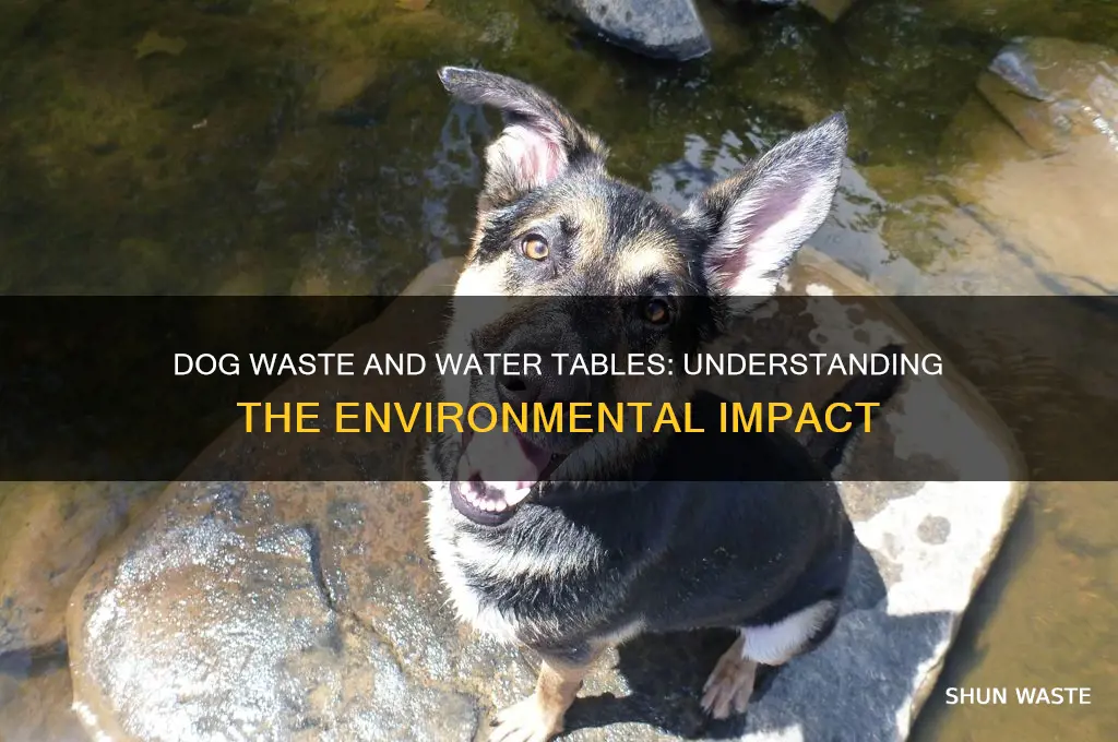 Dog Waste And Water Tables: Understanding The Environmental Impact ...