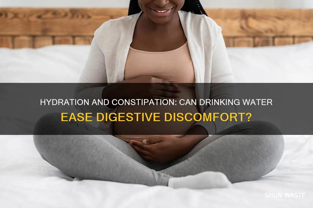 Hydration And Constipation: Can Drinking Water Ease Digestive ...