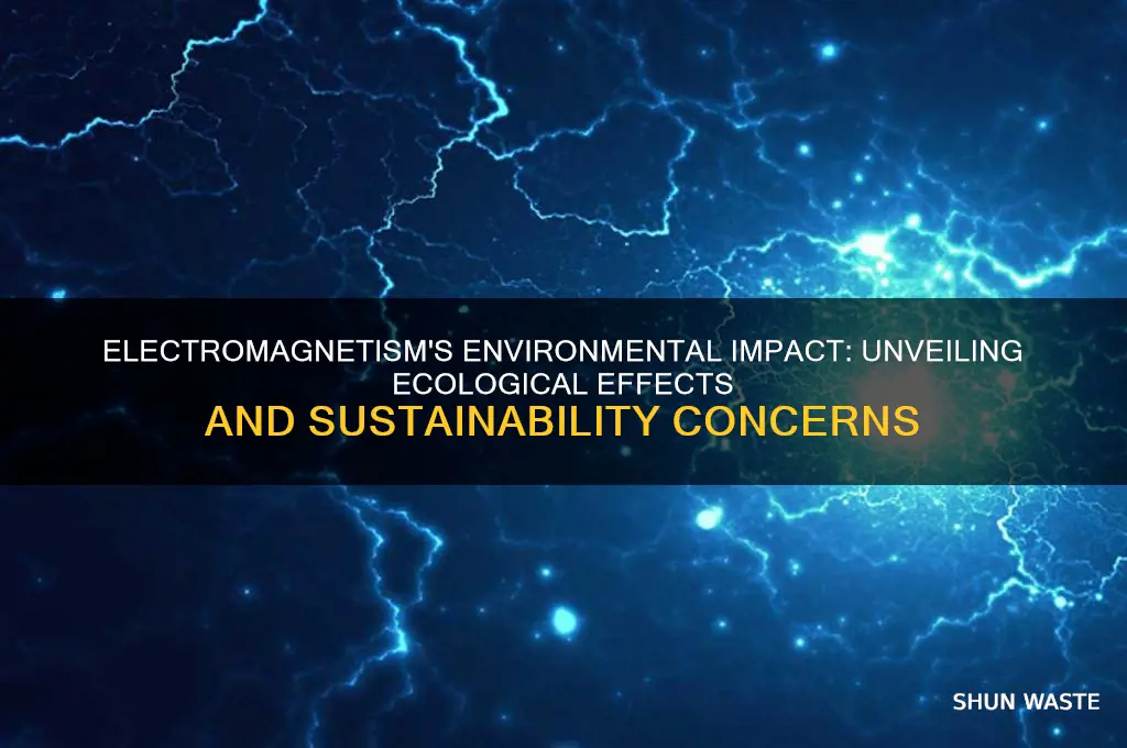 Electromagnetism's Environmental Impact: Unveiling Ecological Effects ...