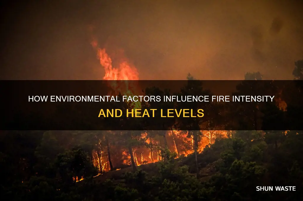 How Environmental Factors Influence Fire Intensity And Heat Levels ...