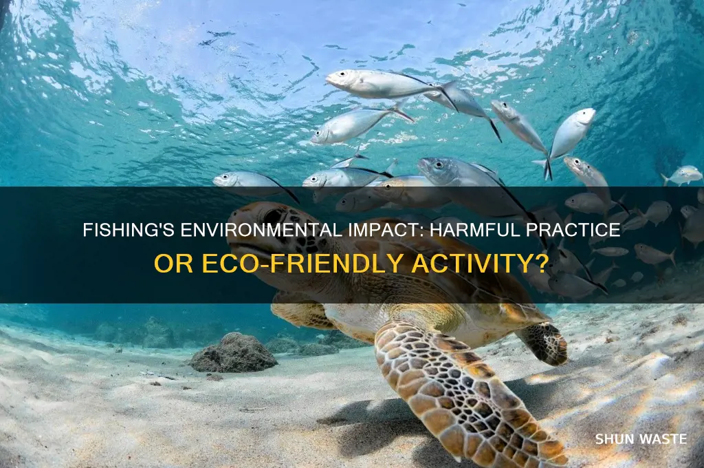 Fishing's Environmental Impact: Harmful Practice Or Eco-Friendly ...
