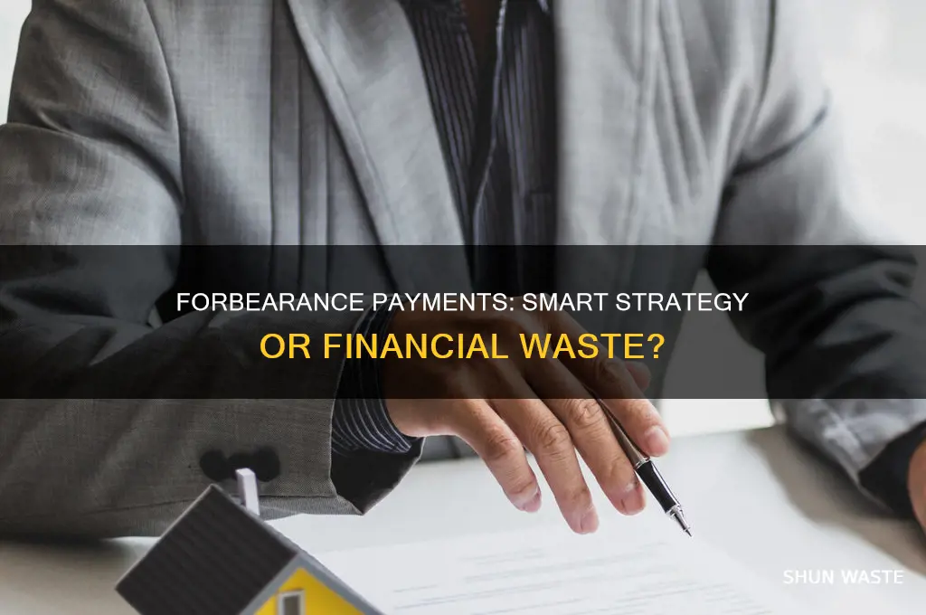 Forbearance Payments: Smart Strategy Or Financial Waste? | ShunWaste