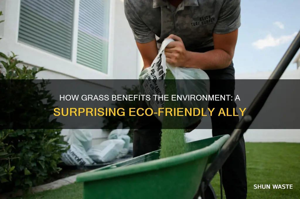 How Grass Benefits The Environment: A Surprising Eco-Friendly Ally ...