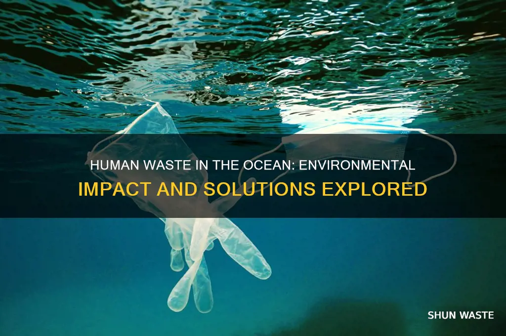 Human Waste In The Ocean: Environmental Impact And Solutions Explored ...