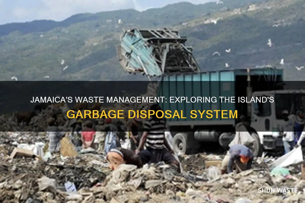 Jamaica's Waste Management: Exploring The Island's Garbage Disposal ...