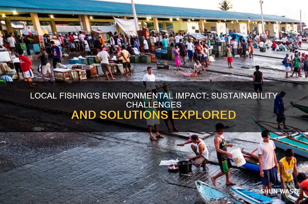 Local Fishing's Environmental Impact: Sustainability Challenges And ...