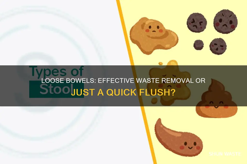Loose Bowels: Effective Waste Removal Or Just A Quick Flush? | ShunWaste