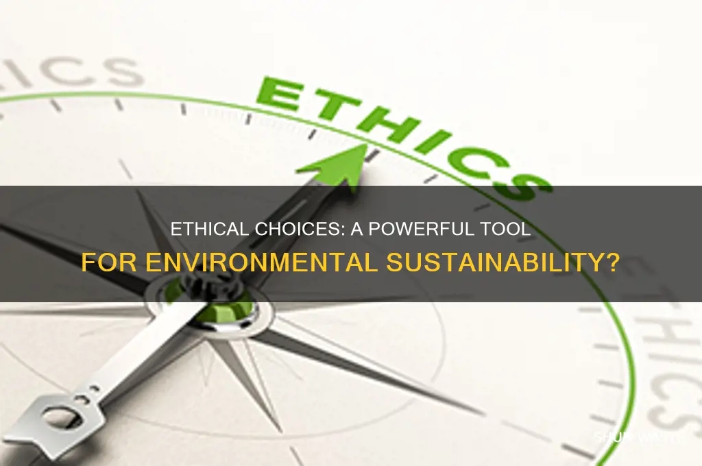 Ethical Choices: A Powerful Tool For Environmental Sustainability ...