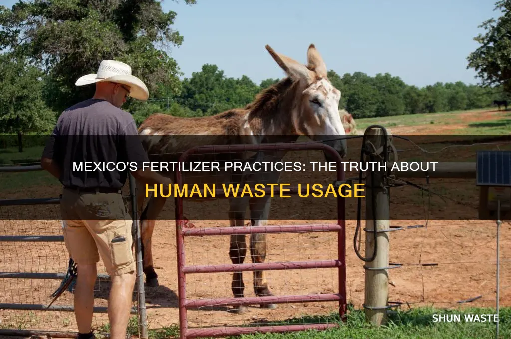 Mexico's Fertilizer Practices: The Truth About Human Waste Usage ...