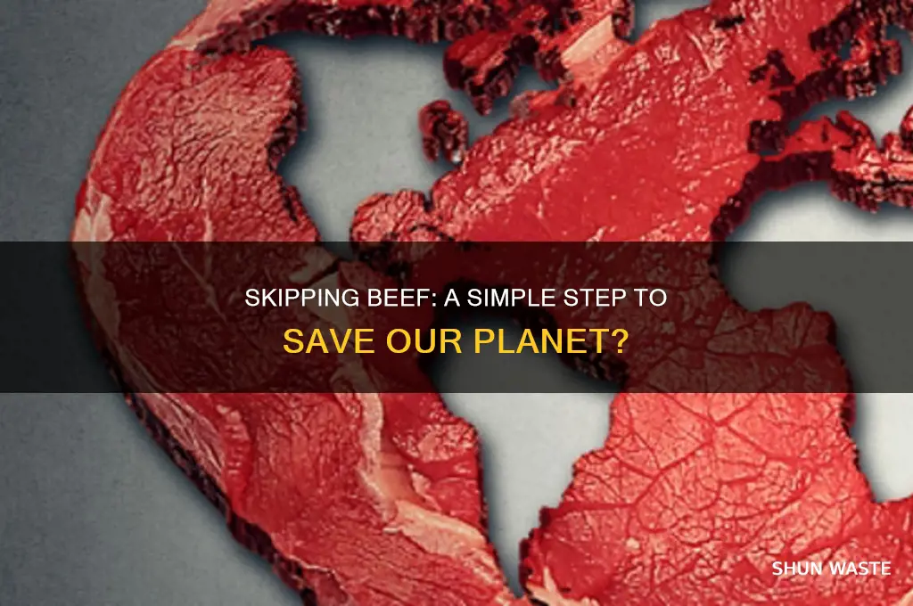 Skipping Beef: A Simple Step To Save Our Planet? | ShunWaste