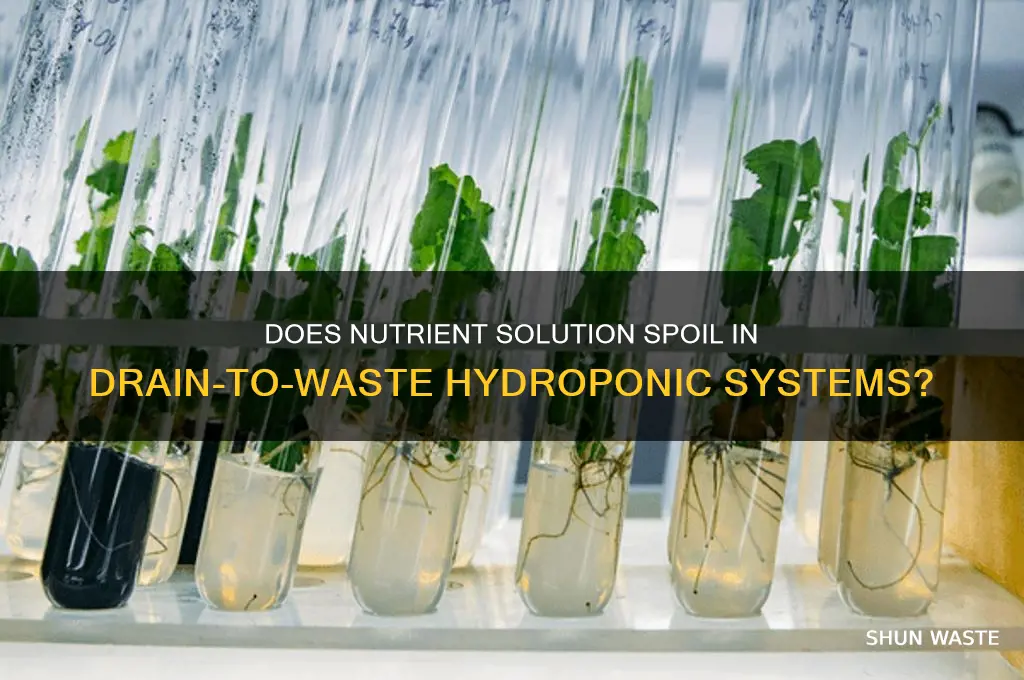 Does Nutrient Solution Spoil In Drain-To-Waste Hydroponic Systems ...