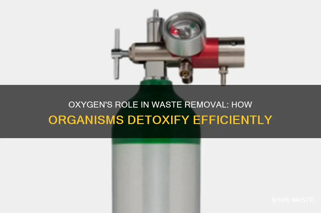 Oxygen's Role In Waste Removal: How Organisms Detoxify Efficiently ...