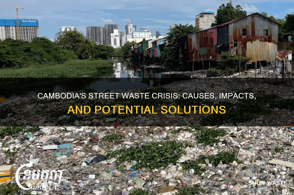 Cambodia's Street Waste Crisis: Causes, Impacts, And Potential ...