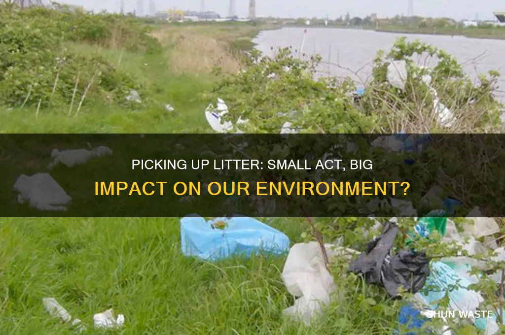 Picking Up Litter: Small Act, Big Impact On Our Environment? | ShunWaste