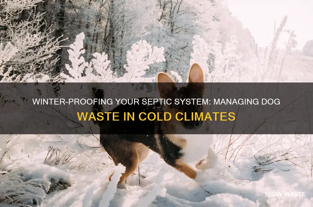 Winter-Proofing Your Septic System: Managing Dog Waste In Cold Climates ...