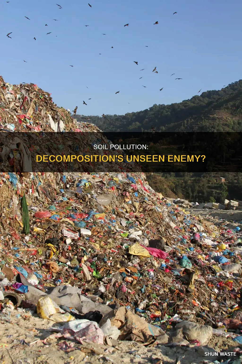 Soil Pollution: Decomposition's Unseen Enemy? | ShunWaste