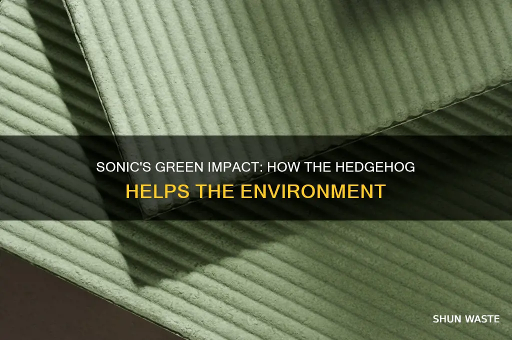 Sonic's Green Impact: How The Hedgehog Helps The Environment | ShunWaste