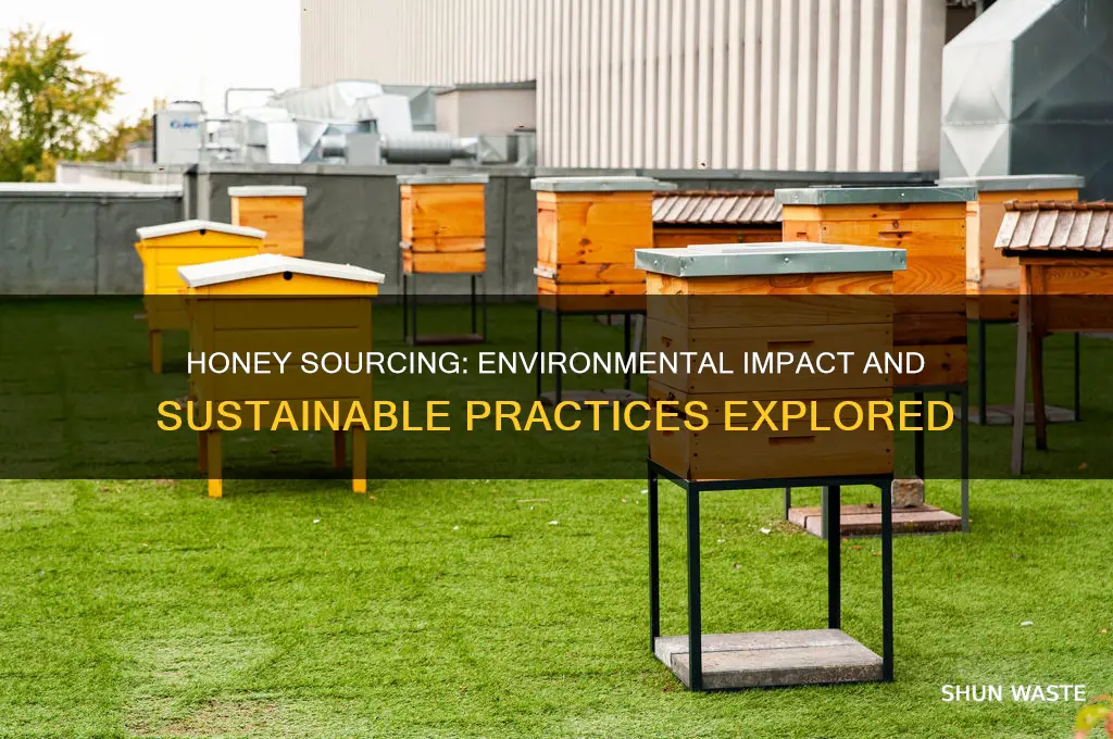 Honey Sourcing: Environmental Impact And Sustainable Practices Explored ...