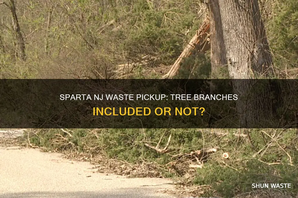 Sparta Nj Waste Pickup: Tree Branches Included Or Not? | ShunWaste