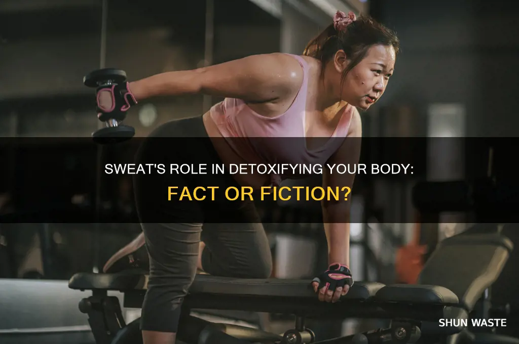 Sweat's Role In Detoxifying Your Body: Fact Or Fiction? | ShunWaste