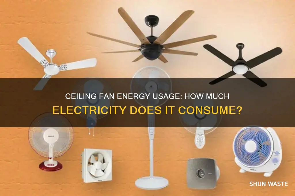 Ceiling Fan Energy Usage: How Much Electricity Does It Consume? | ShunWaste