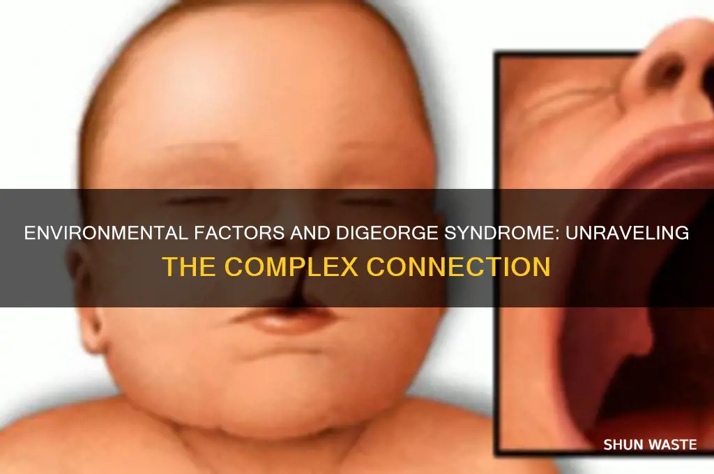 Environmental Factors And Digeorge Syndrome: Unraveling The Complex ...