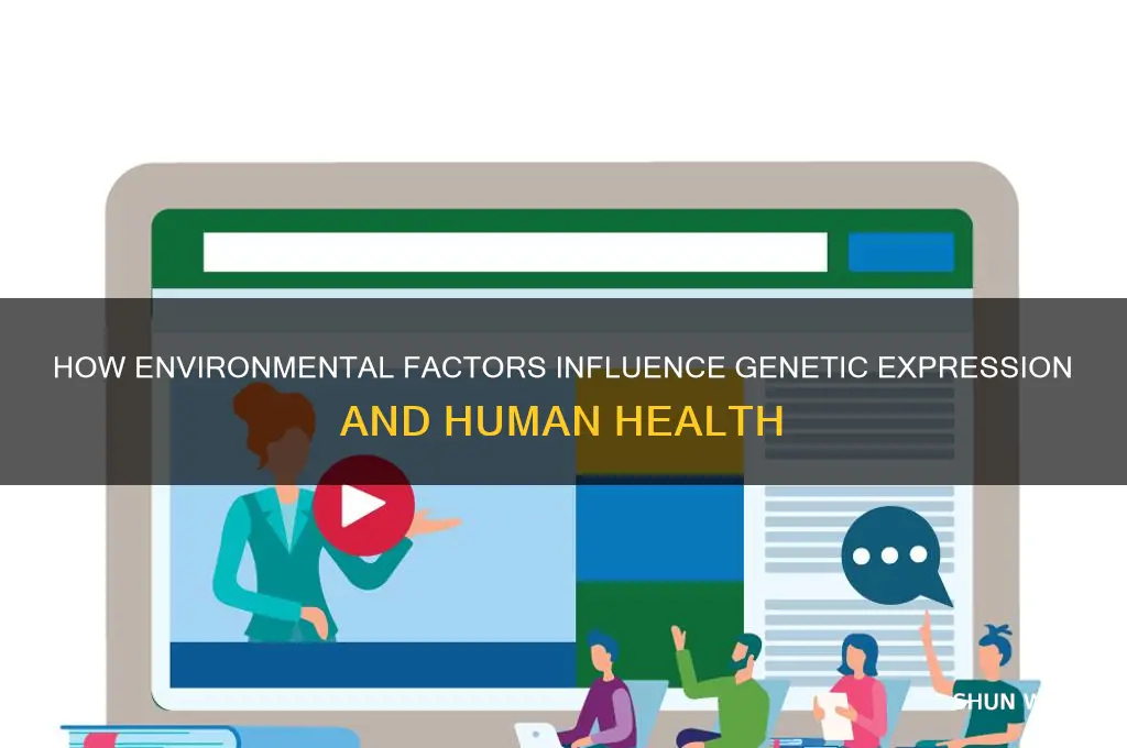 How Environmental Factors Influence Genetic Expression And Human Health ...