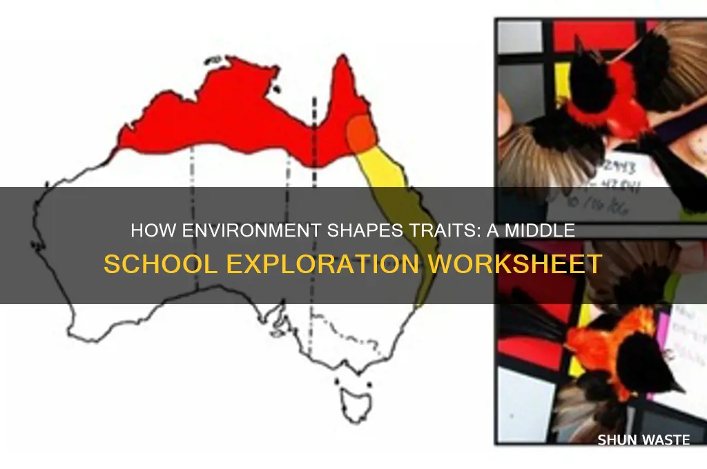 How Environment Shapes Traits: A Middle School Exploration Worksheet ...