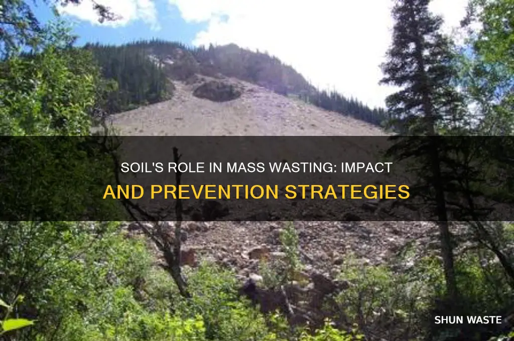 Soil's Role In Mass Wasting: Impact And Prevention Strategies | ShunWaste