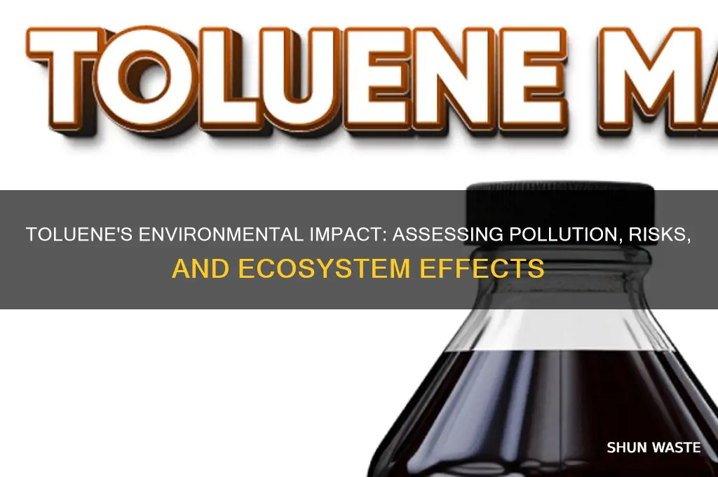 Toluene's Environmental Impact: Assessing Pollution, Risks, And ...