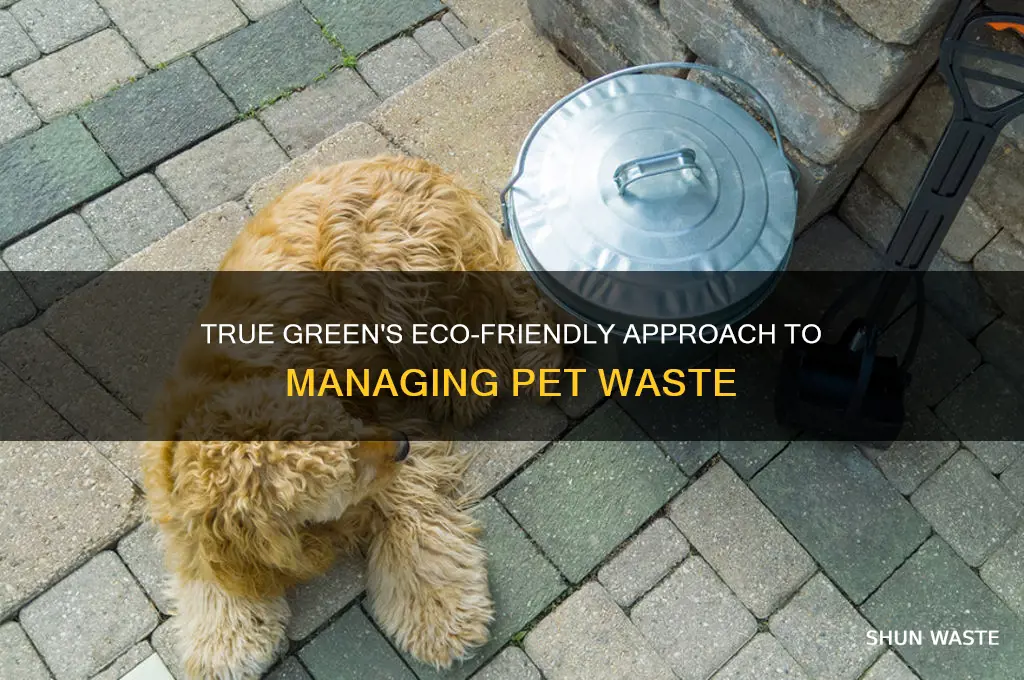 True Green's Eco-Friendly Approach To Managing Pet Waste | ShunWaste