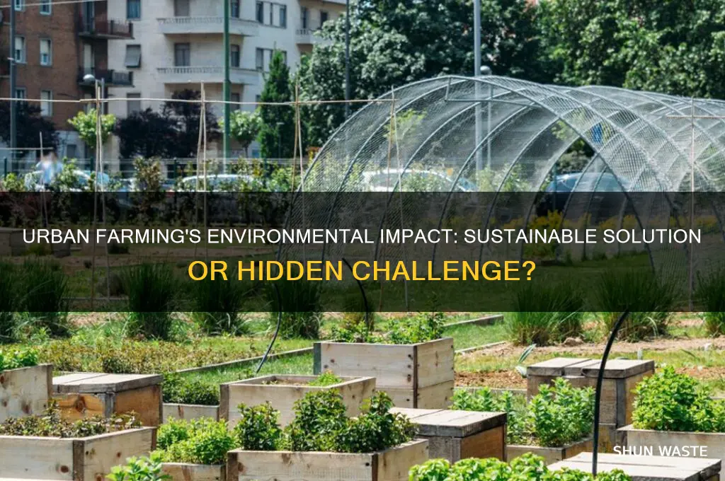 Urban Farming's Environmental Impact: Sustainable Solution Or Hidden ...