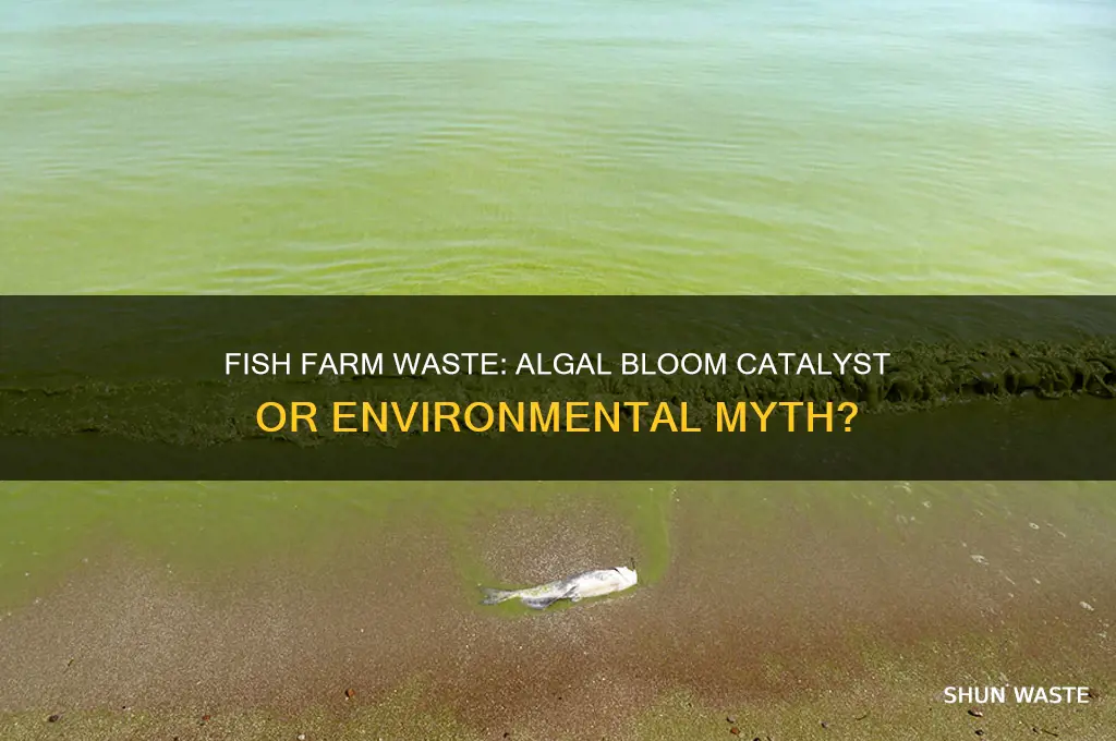 Fish Farm Waste Algal Bloom Catalyst Or Environmental Myth ShunWaste