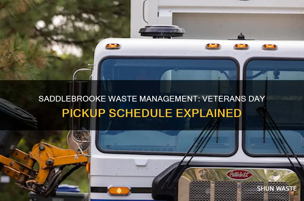 Saddlebrooke Waste Management: Veterans Day Pickup Schedule Explained ...