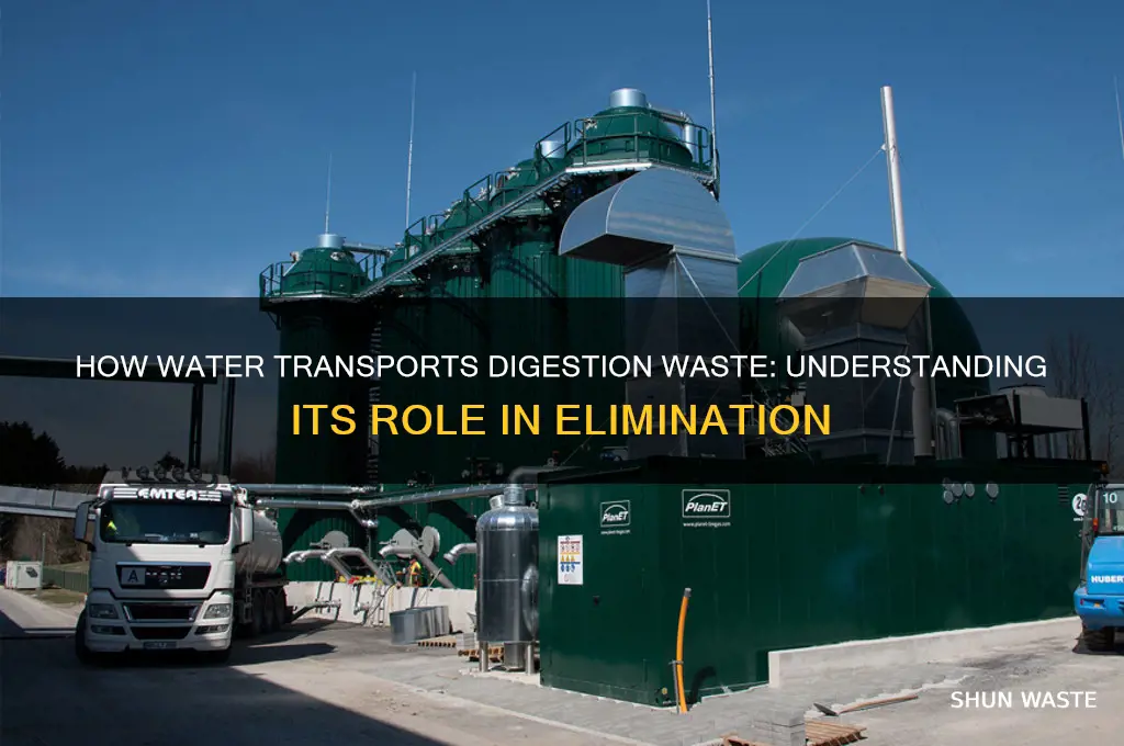 How Water Transports Digestion Waste: Understanding Its Role In ...