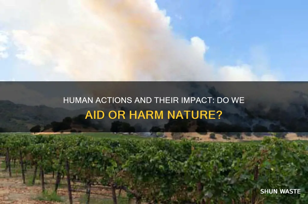Human Actions And Their Impact: Do We Aid Or Harm Nature? | ShunWaste