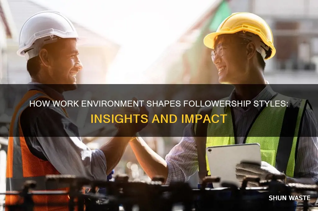 How Work Environment Shapes Followership Styles: Insights And Impact ...