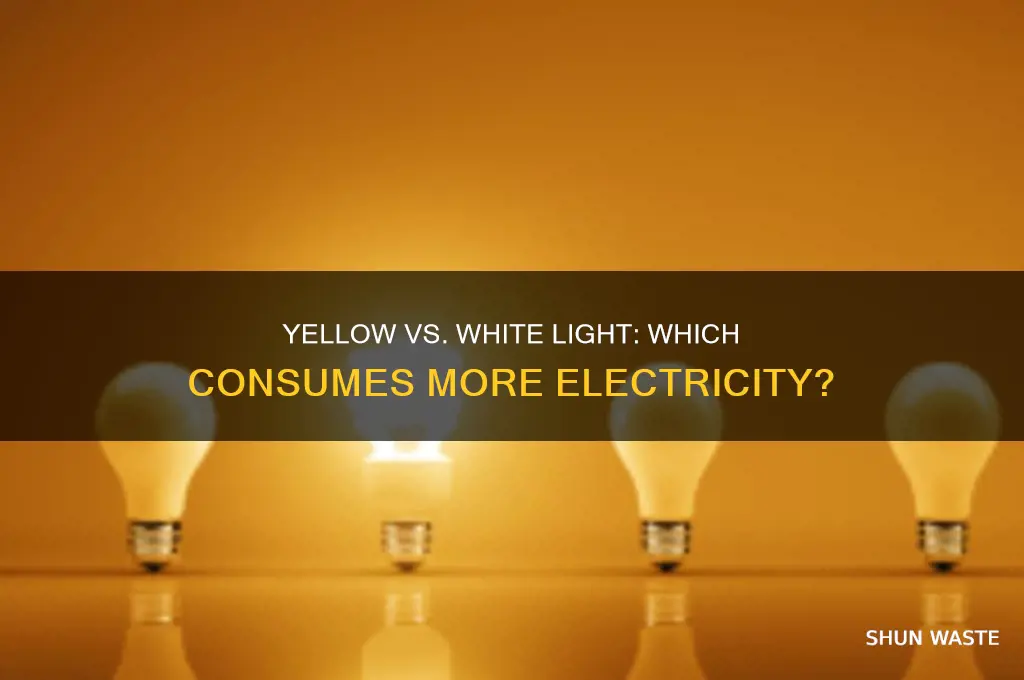 Yellow Vs. White Light: Which Consumes More Electricity? | ShunWaste