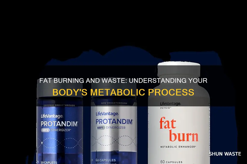 Fat Burning And Waste: Understanding Your Body's Metabolic Process ...