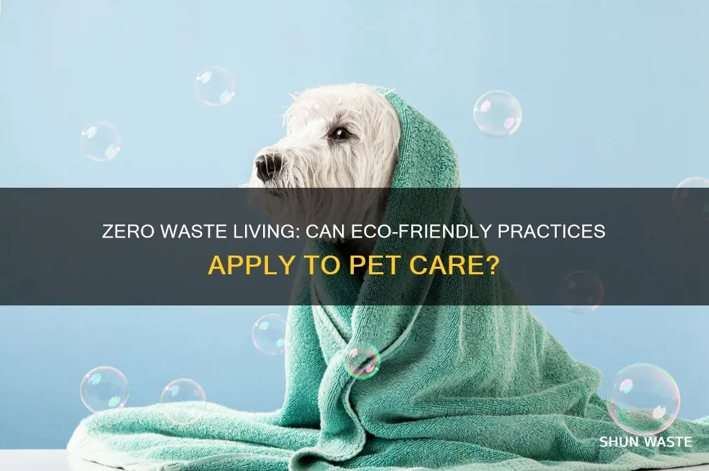 Zero Waste Living: Can Eco-Friendly Practices Apply To Pet Care ...