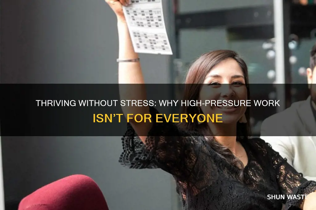 Thriving Without Stress: Why High-Pressure Work Isn’T For Everyone ...