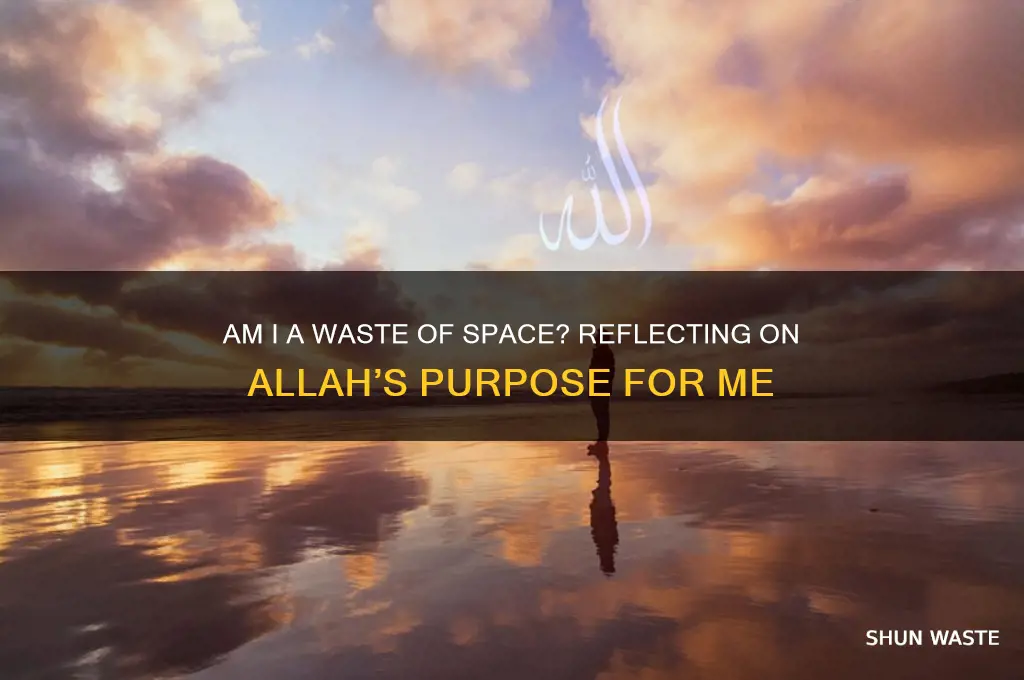 Am I A Waste Of Space? Reflecting On Allah’S Purpose For Me | ShunWaste