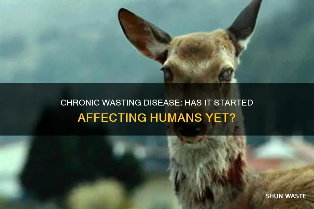 Chronic Wasting Disease: Has It Started Affecting Humans Yet? | ShunWaste