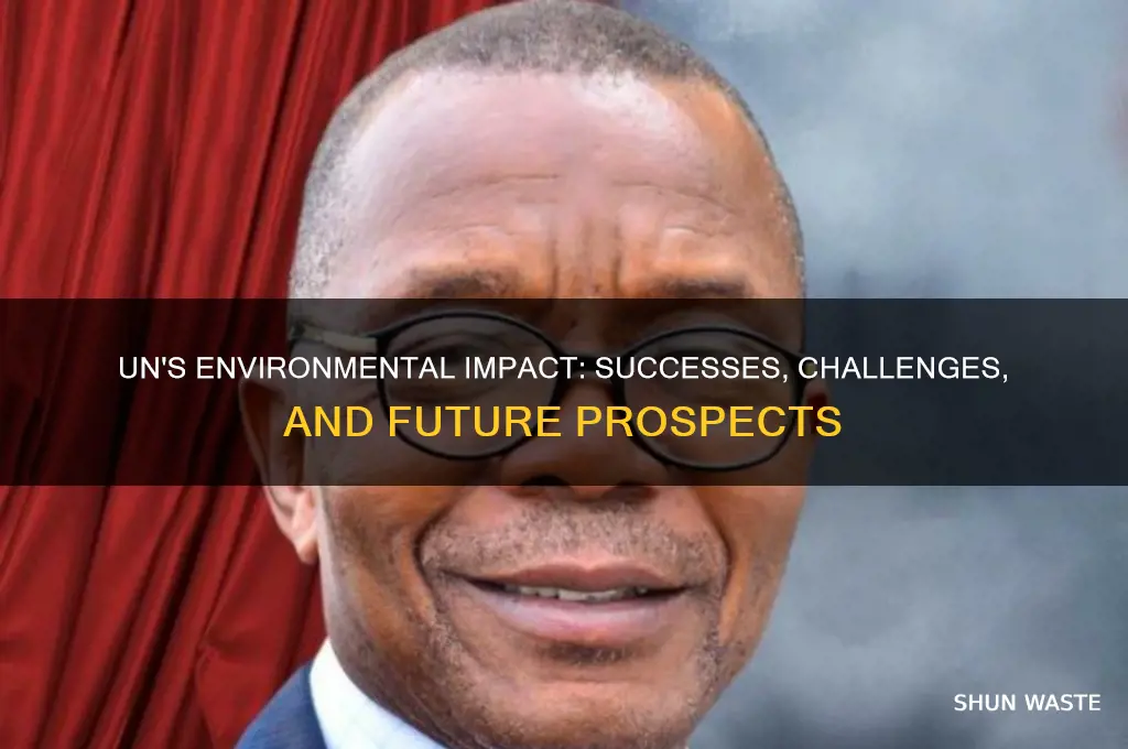 Un's Environmental Impact: Successes, Challenges, And Future Prospects ...