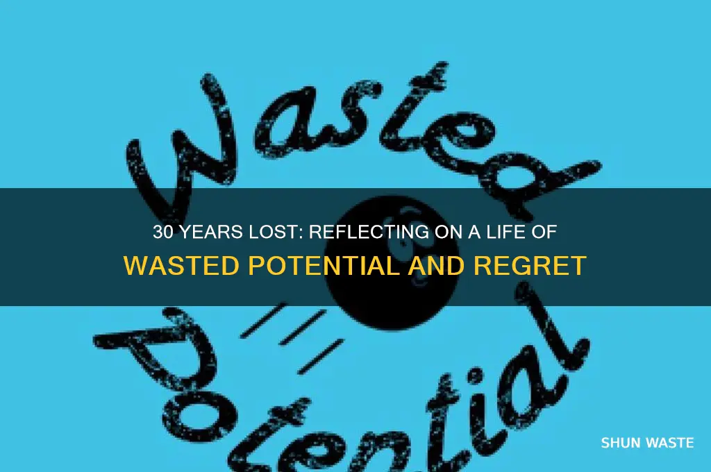 30 Years Lost: Reflecting On A Life Of Wasted Potential And Regret ...