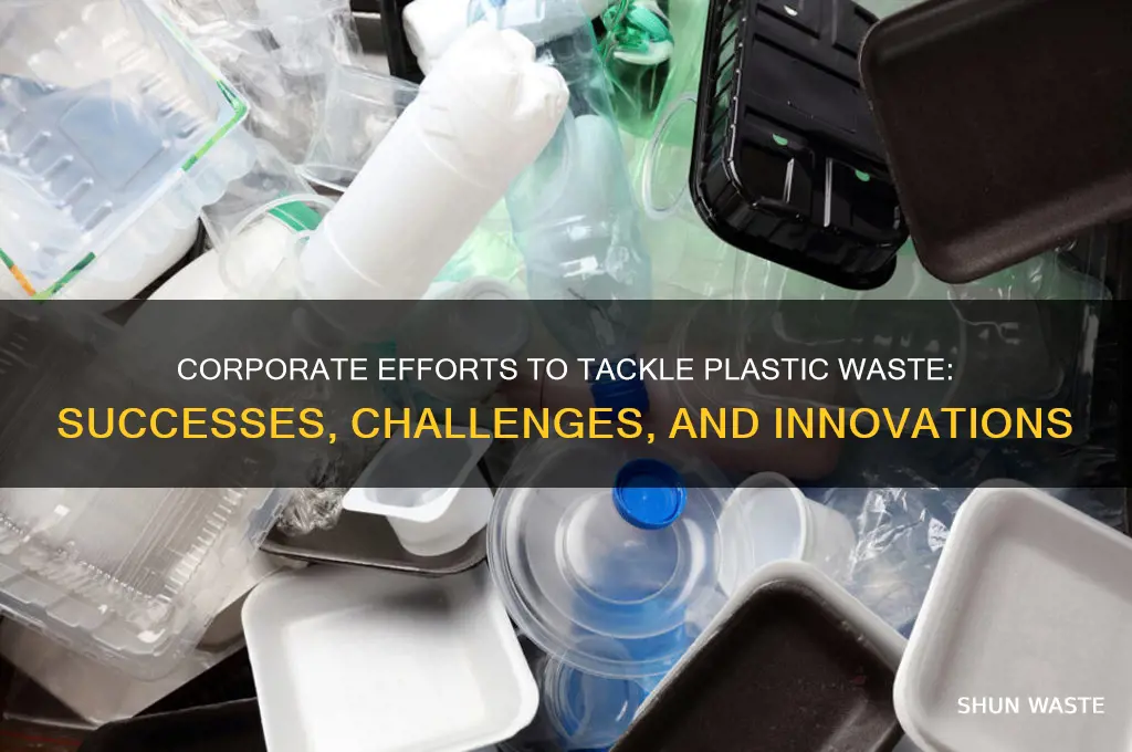 Corporate Efforts To Tackle Plastic Waste: Successes, Challenges, And ...