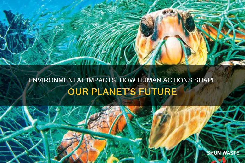 Environmental Impacts: How Human Actions Shape Our Planet's Future ...