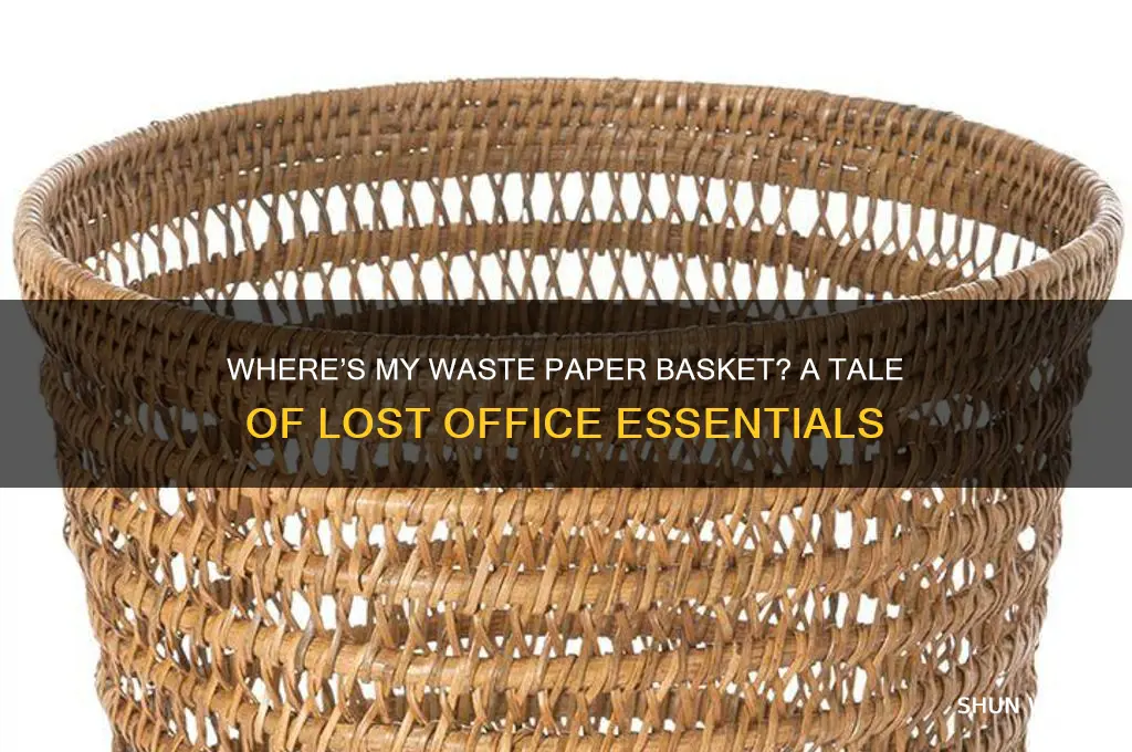 Where’S My Waste Paper Basket? A Tale Of Lost Office Essentials | ShunWaste