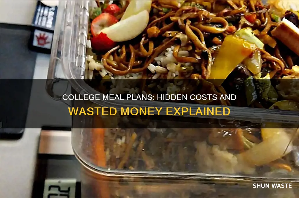 College Meal Plans: Hidden Costs And Wasted Money Explained | ShunWaste